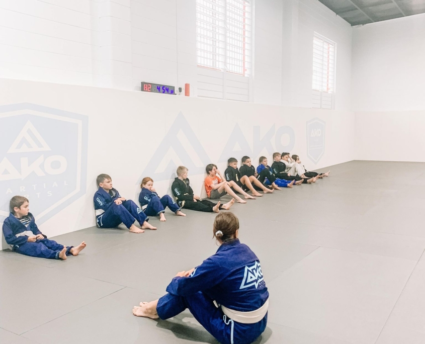 Gym Gallery - Ako Martial Arts